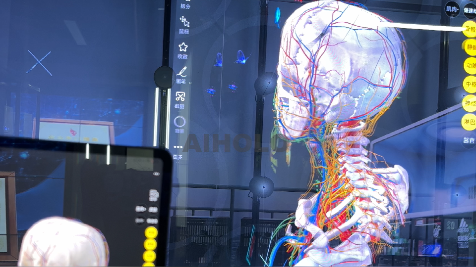 The Interactive Future of Medicine: How Real-Time Holographic ...
